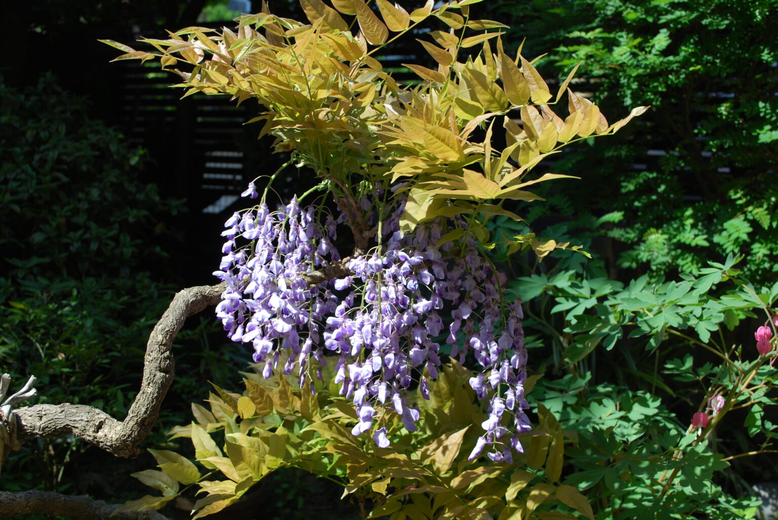 igusa井草 ~ で充実LIFEを‼